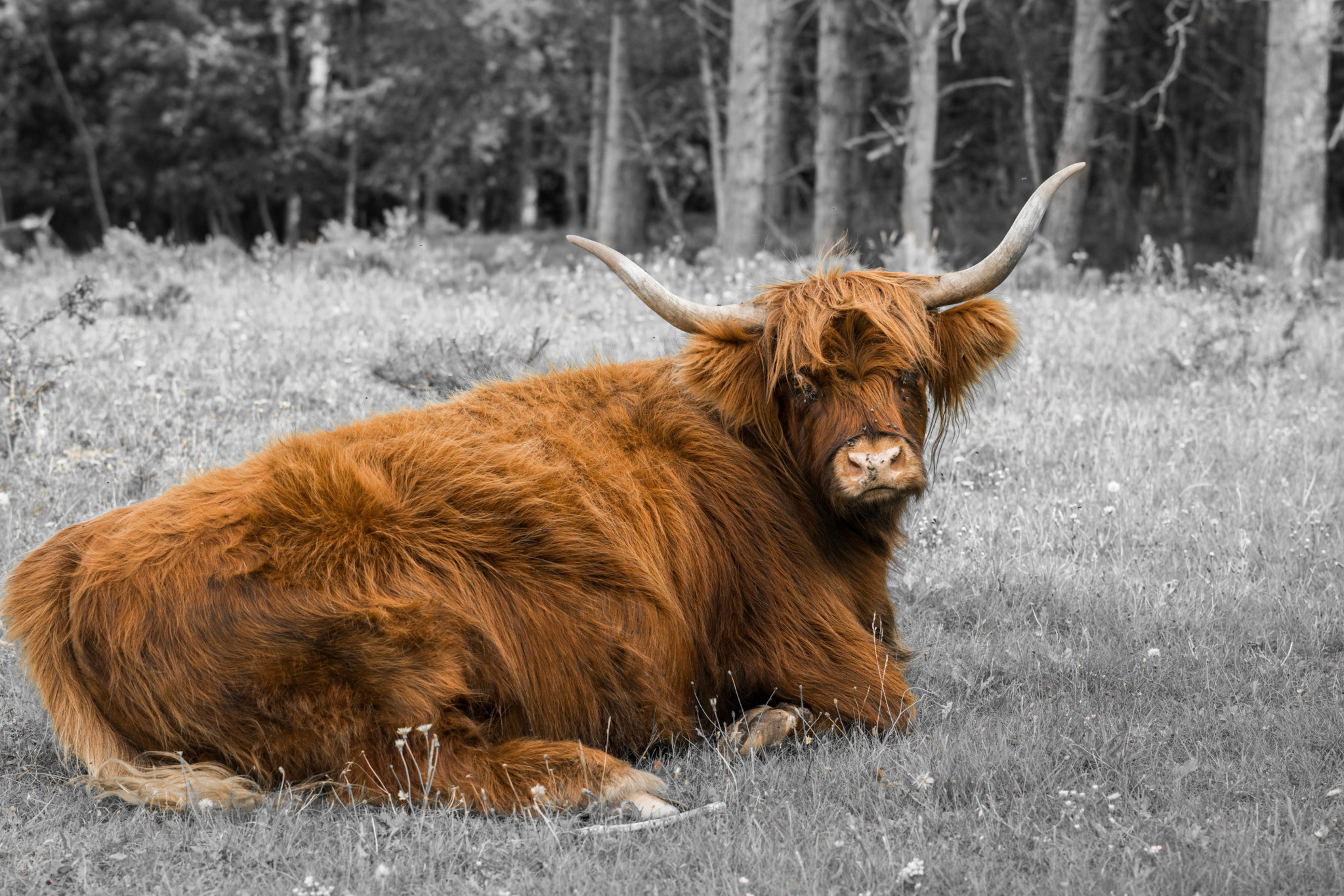 The beautiful nature of kruisberg – Thabo Hollander | Photography